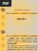Qeliza Bimore | PDF