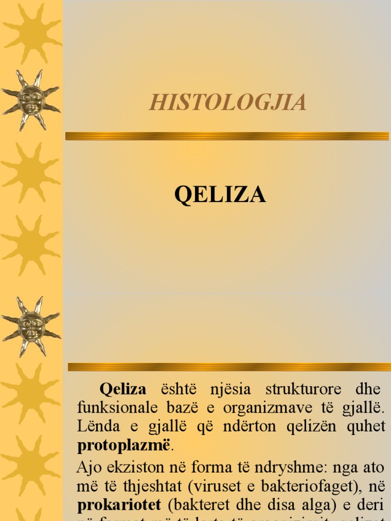 Qeliza | PDF