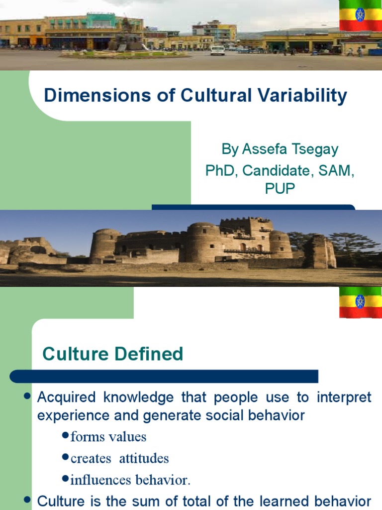 Ethiopian Cultural Dimensions | PDF | Behavioural Sciences | Psychological Concepts