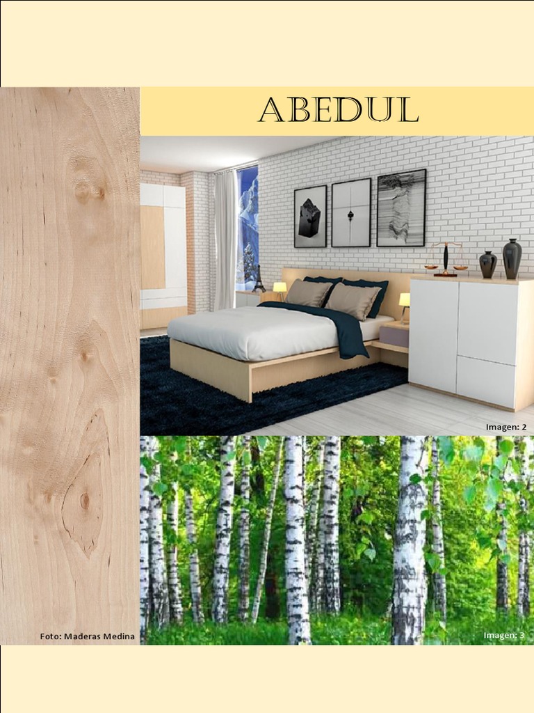 Propiedades y Usos de la Madera de Abedul | PDF | Madera | Productos ...