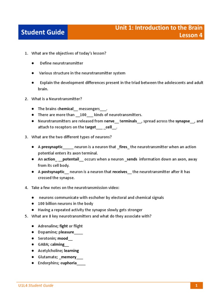 Student Guide: Unit 1: Introduction To The Brain Lesson 4 | PDF ...
