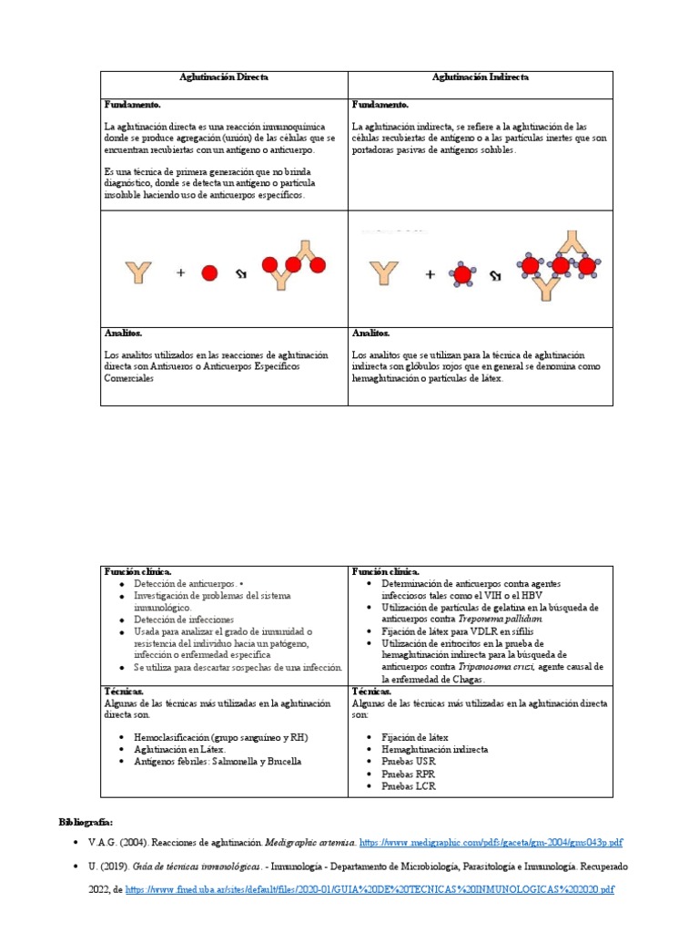 Aglutinación | PDF | Anticuerpo | Inmunología