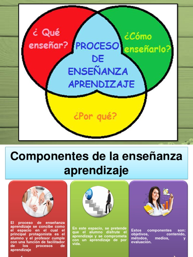 Proceso de Enseñanza Aprendizaje | PDF | Aprendizaje | Evaluación