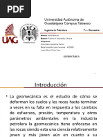 Manual Petrel Basico | PDF | Archivo de computadora | Ventana (informática)