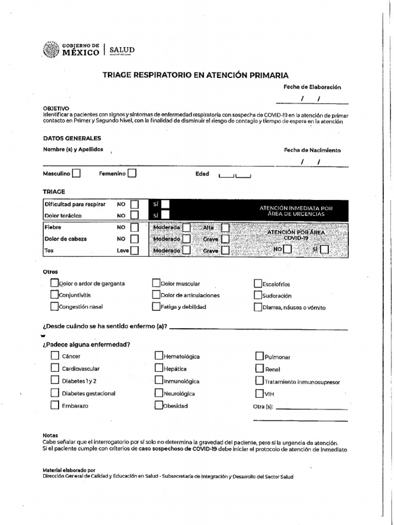 Formato Triage | PDF