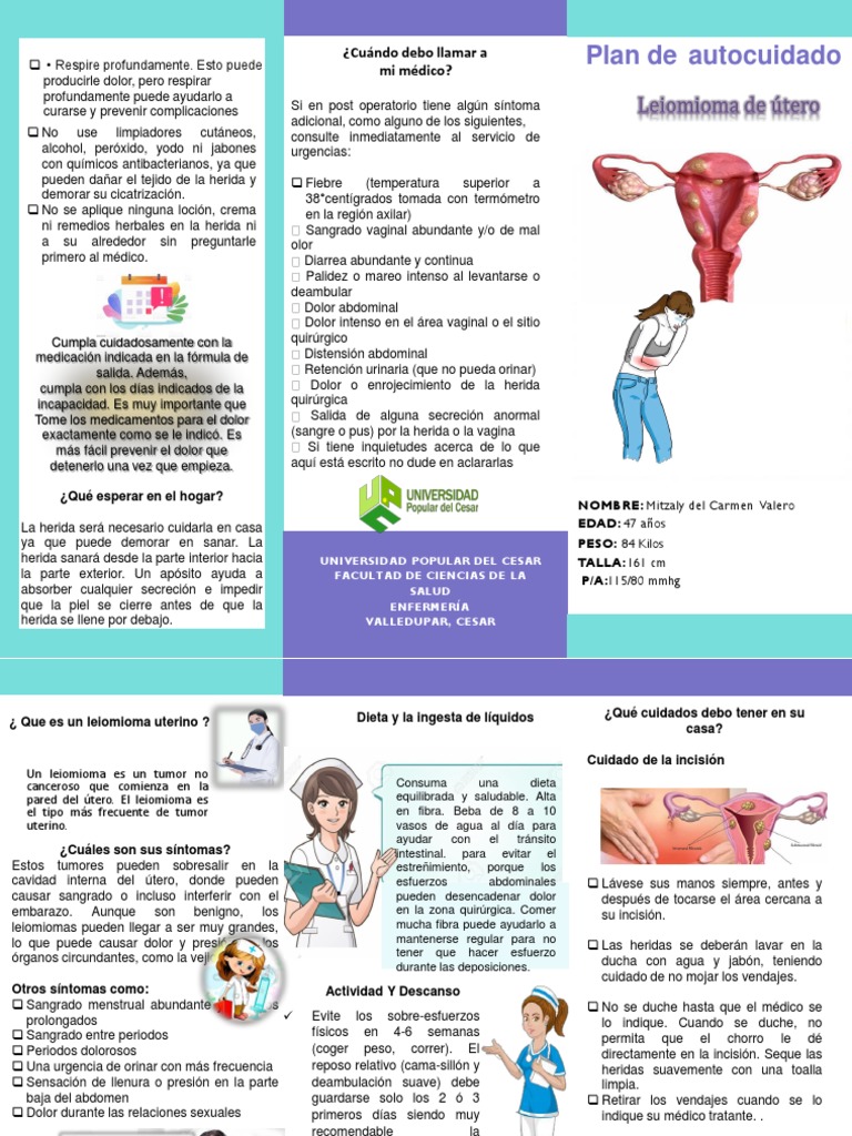 Plan de Autocuidado | PDF | Herida | El embarazo