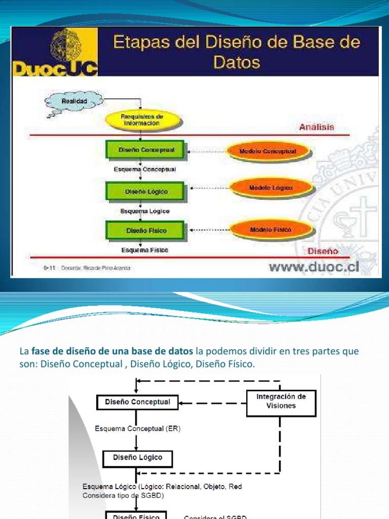 Las tres fases del diseño de una base de datos: Diseño conceptual, diseño lógico y diseño físico ...
