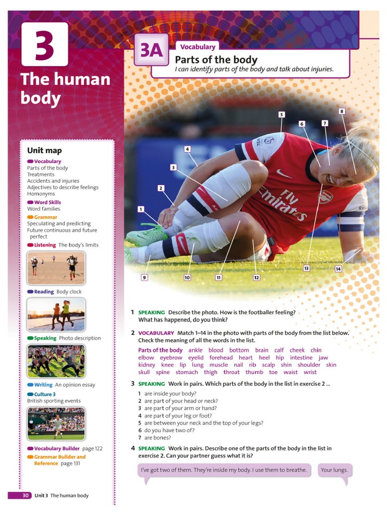 U3.1-Human Body | PDF