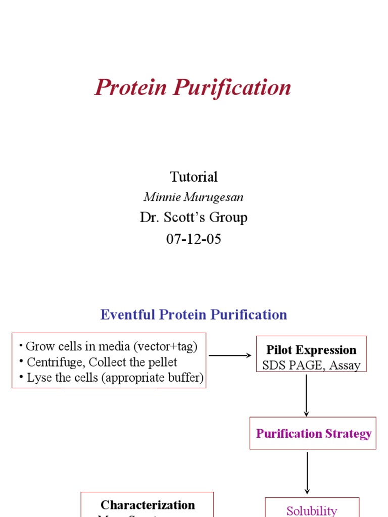 Protein Purification Strategies | PDF | Chromatography | Protein ...