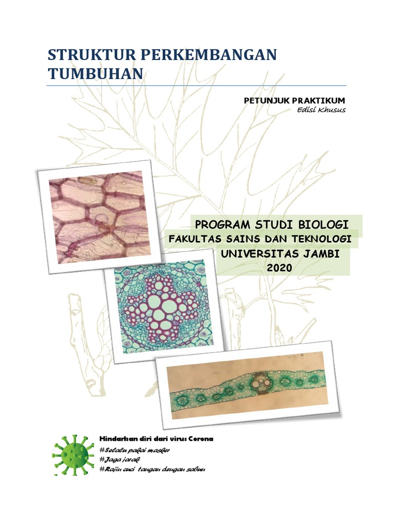 Penuntun Praktikum SPT OK | PDF