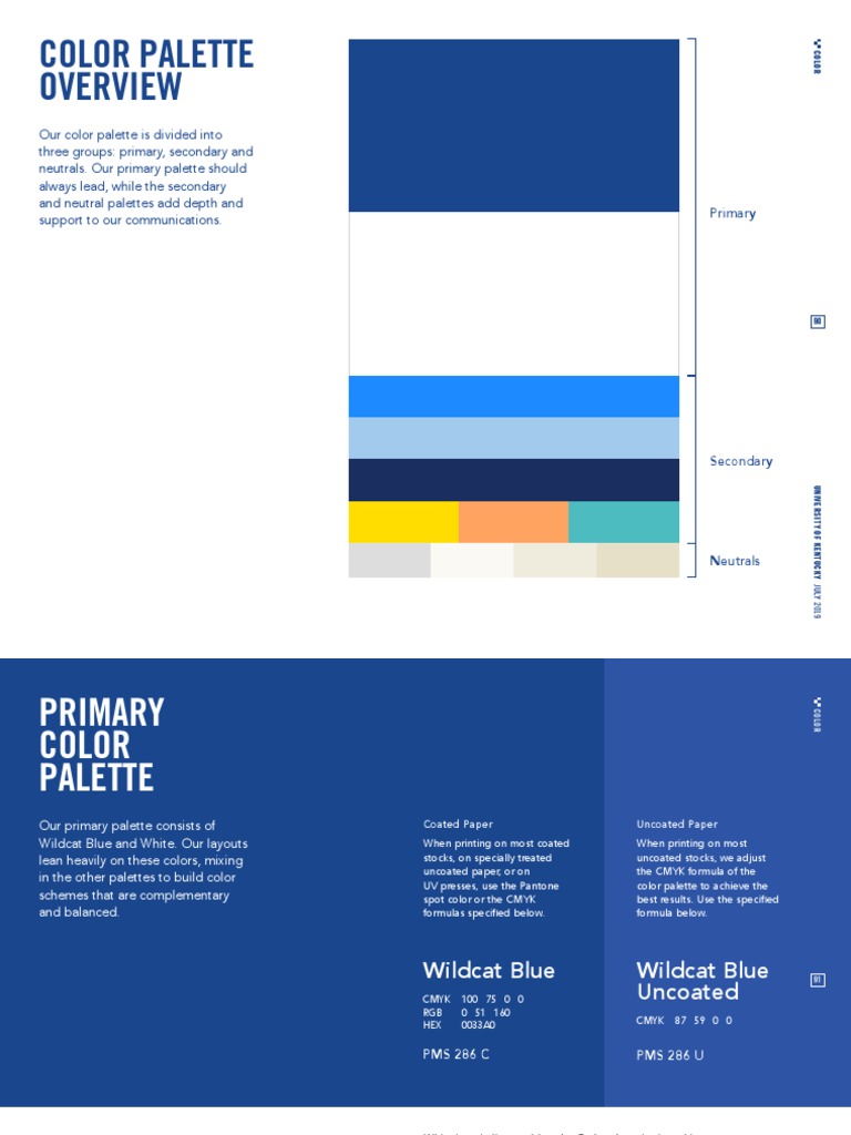 Color Guidelines | PDF | Rgb Color Model | Communication Design