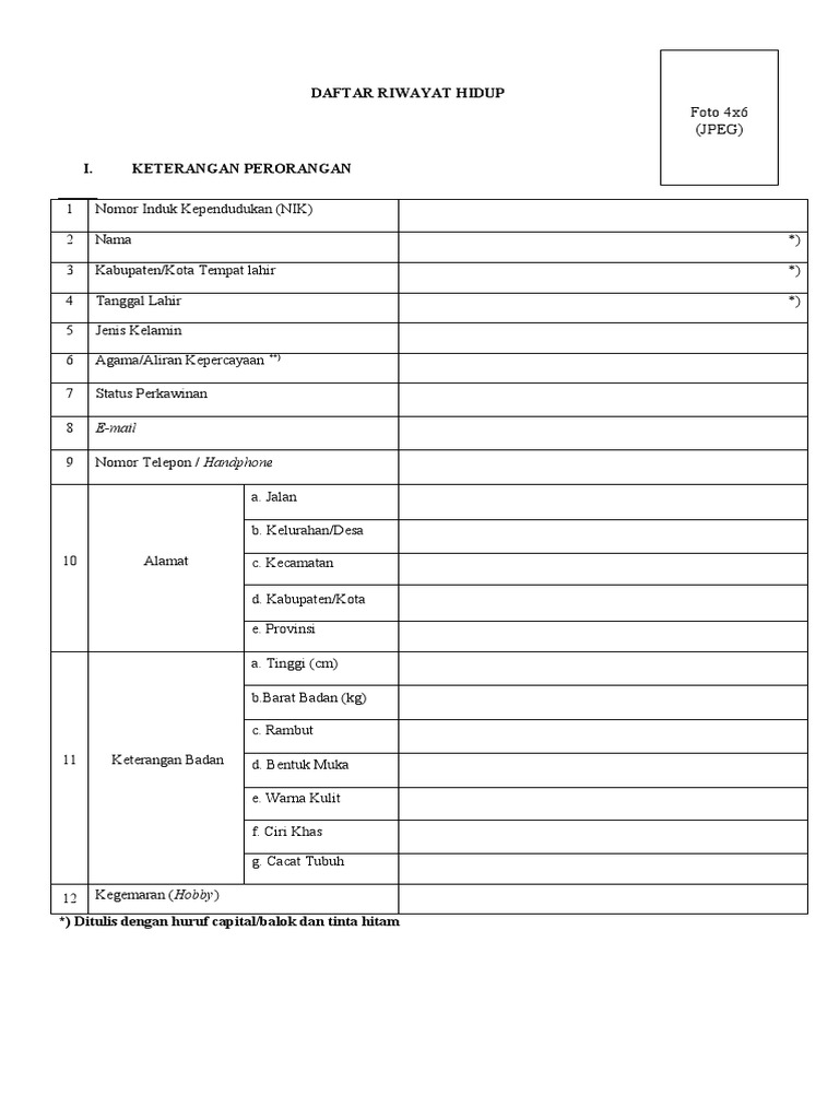 Daftar Riwayat Hidup - BKN PPPK | PDF