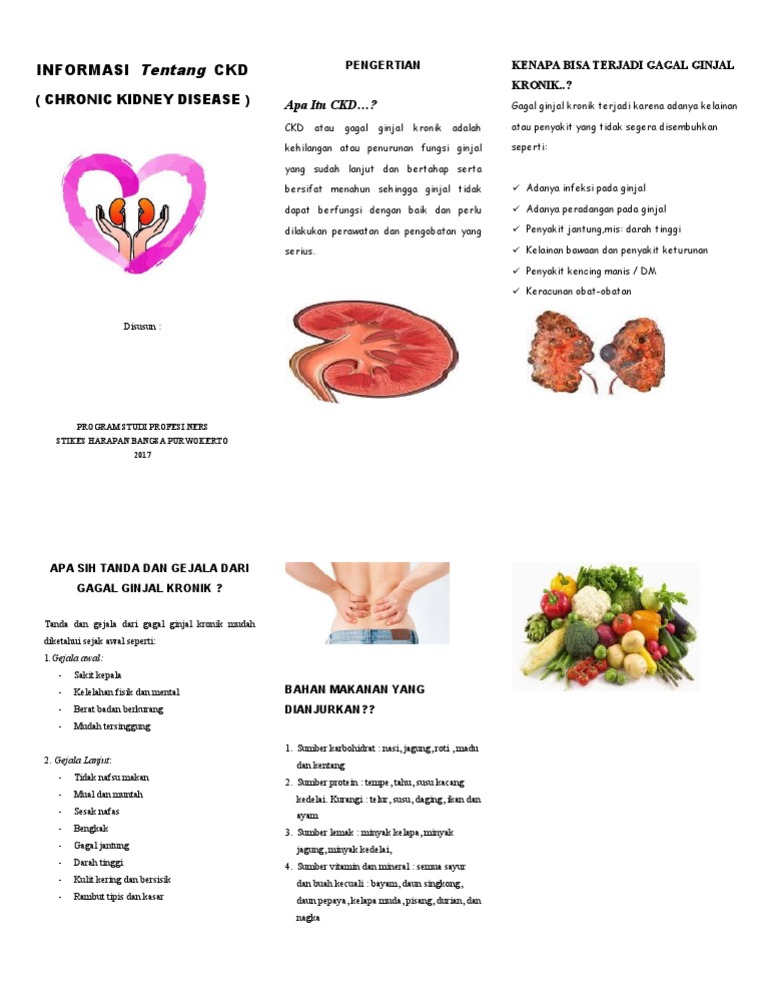 Leaflet CKD | PDF