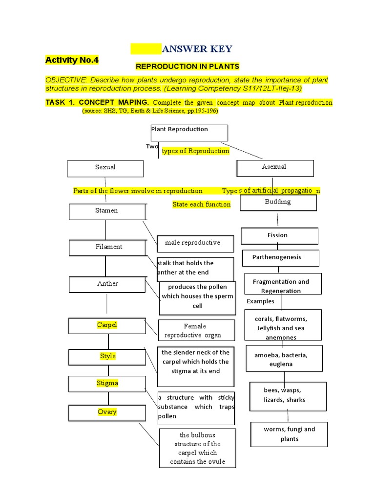 Answer Key-Activity 4 | PDF | Reproduction | Plant Reproduction