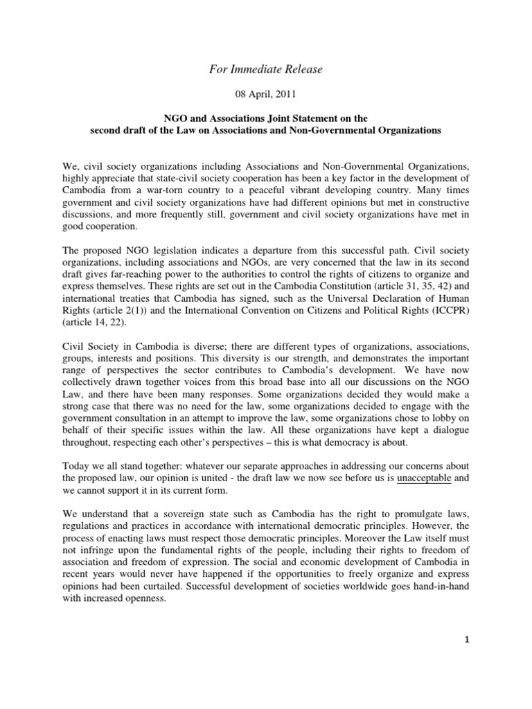 08 04 2011 CSO Joint Statement Eng FINAL@12noon | PDF | Non ...