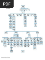 BNM Organisation Chart PDF | PDF