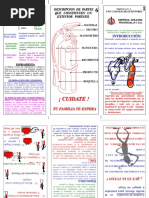 Triptico - Programa Emergencias - Uso Extintores | PDF