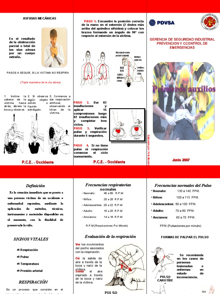 TRIPTICO Primeros Auxilios | PDF | Respiración | Legumbres