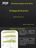 Origen y Evolucion de Los Insectos | PDF | Insectos | Escala de tiempo ...