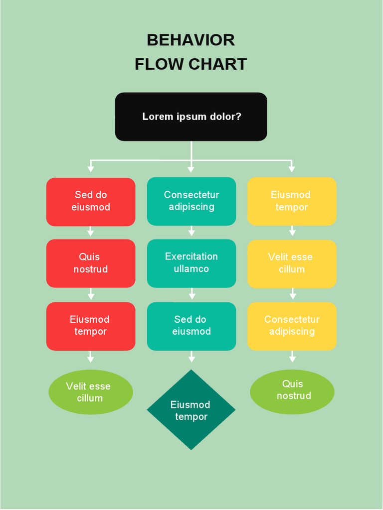 Behavior Flow Chart | PDF