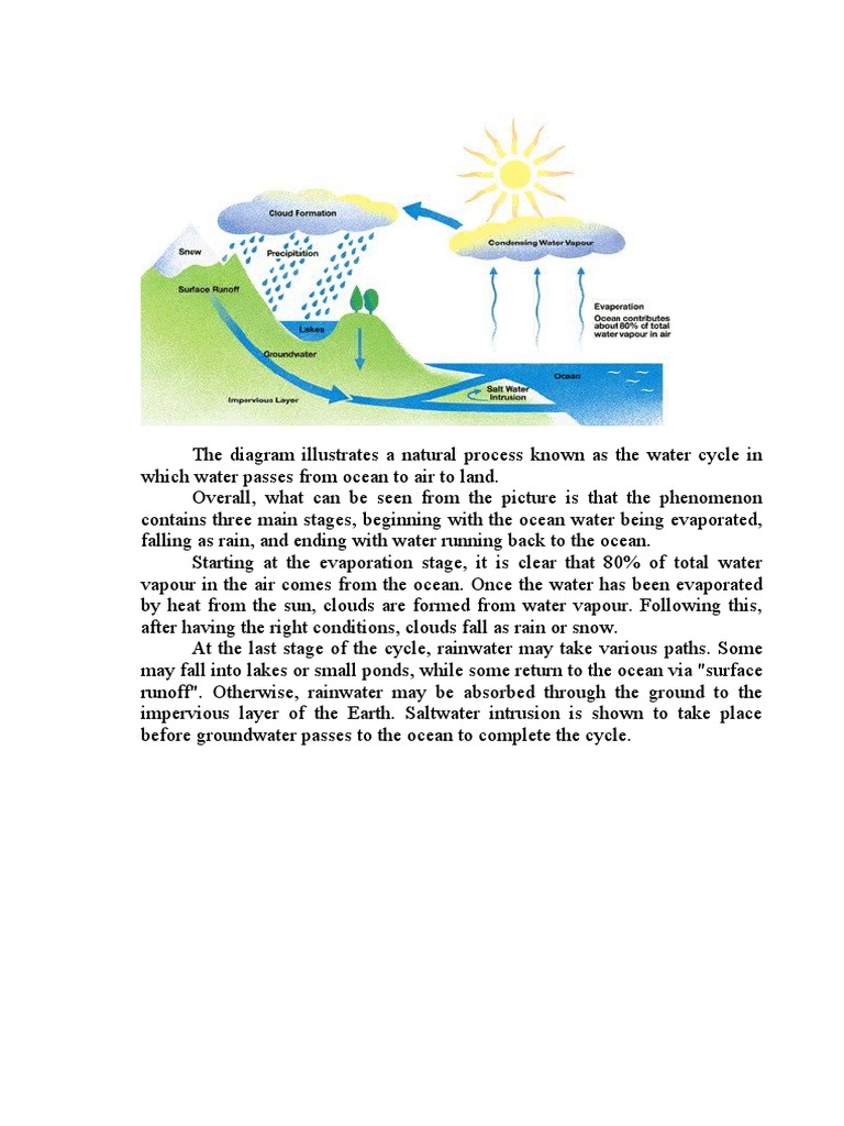 Water Cycle Explained for Students | PDF