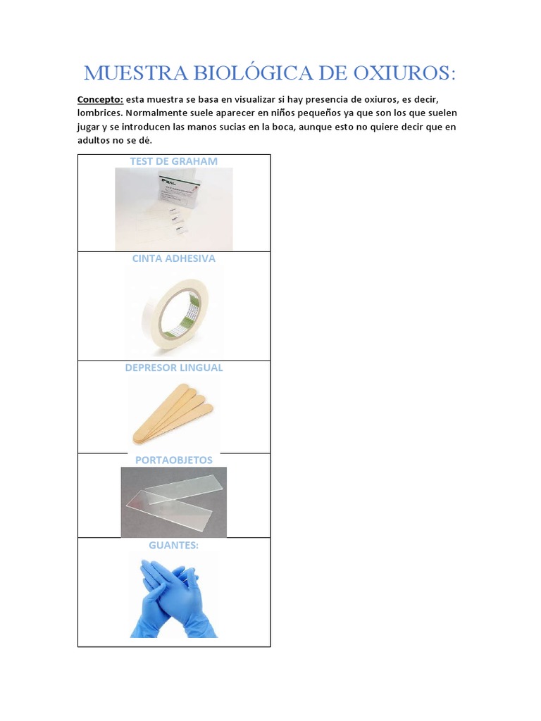Muestra Biológica de Oxiuros | PDF | Estudios de idiomas extranjeros