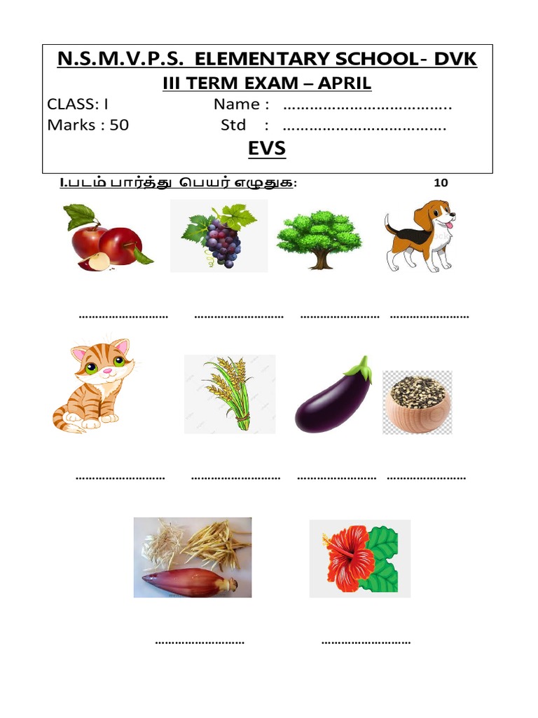 1ST STD Evs | PDF