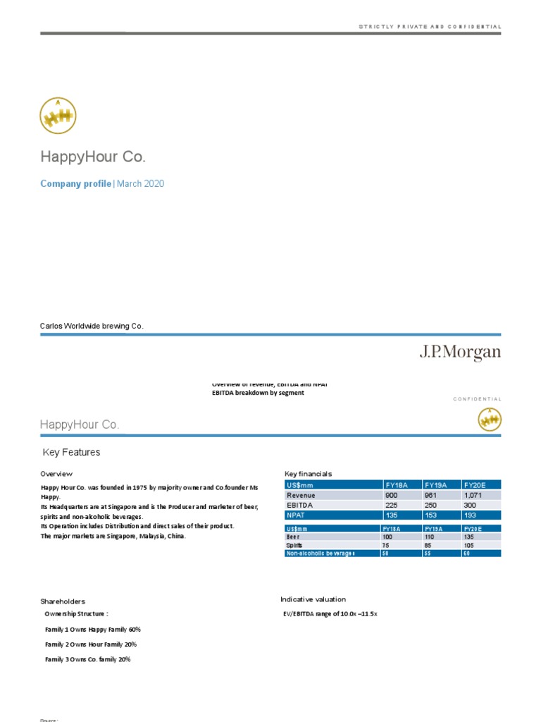 Task 2 - Company Overview Template v2 | PDF