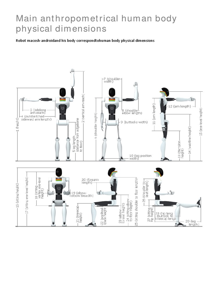 Main Anthropometrical Human Body Physical Dimensions | PDF | Length ...