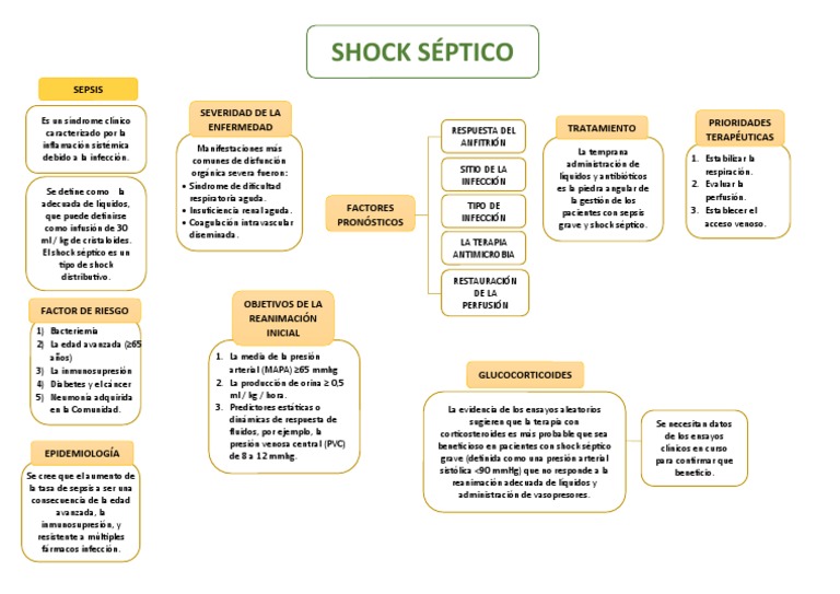 Shock Séptico | PDF | Septicemia | Medicina CLINICA