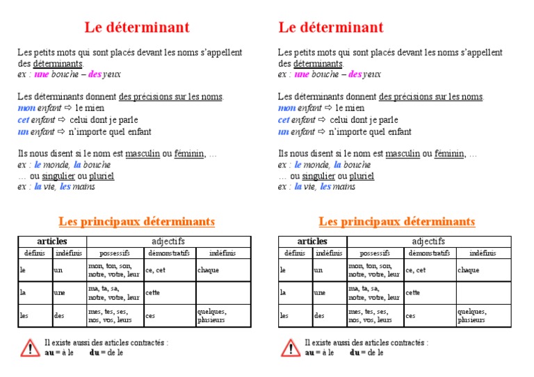 Types et Liste des Déterminants en Français | PDF | Genre grammatical ...