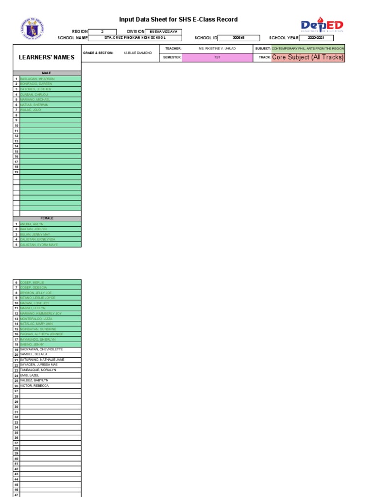 Input Data Sheet For SHS E-Class Record: Learners' Names | PDF