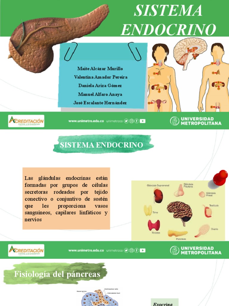 Farmacología de la Diabetes y Pramlintida | PDF | Diabetes | Insulina