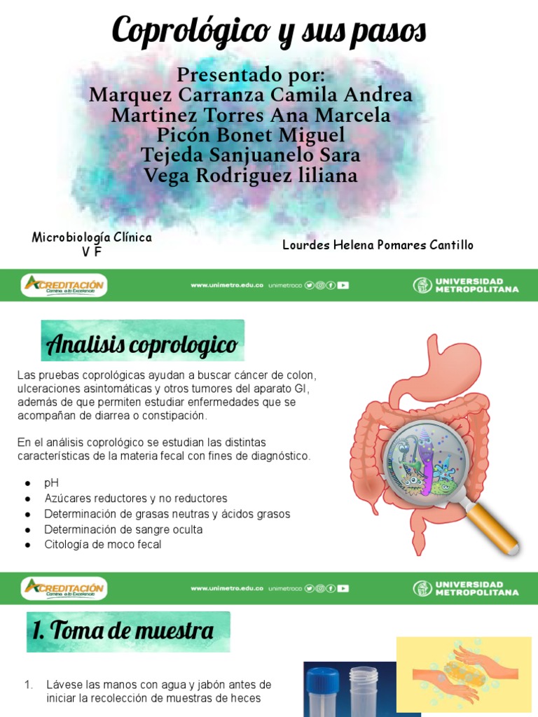 Coprologico y Pasos | PDF | Heces | Diarrea