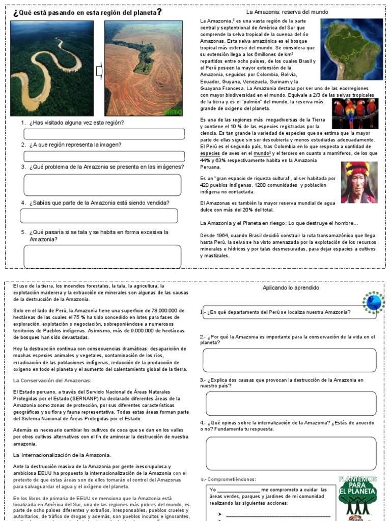 La Amazonia, Reserva Del Mundo | PDF | Selva amazónica | Entorno natural