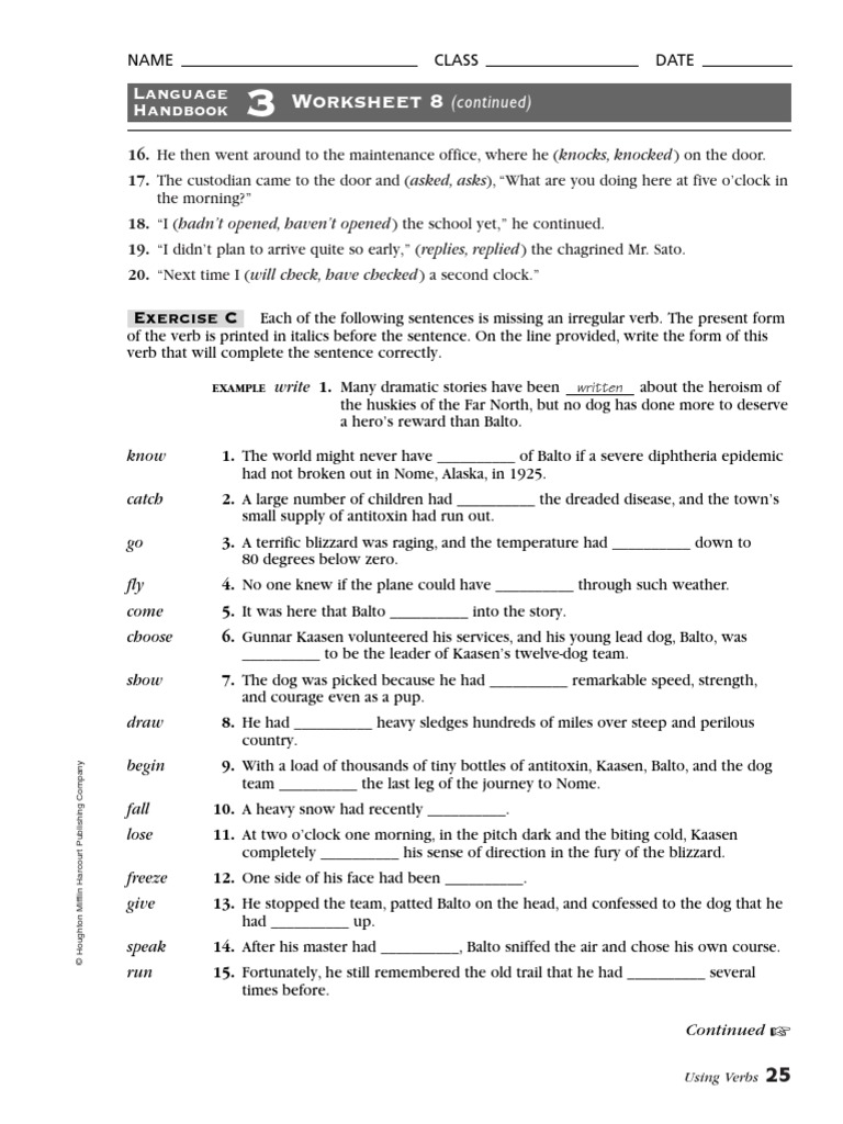 Worksheet 8: Language Handbook | PDF
