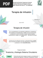Nom 022 Terapia de Infusion Presentacion | PDF | Terapia intravenosa | Ciencias de la Salud