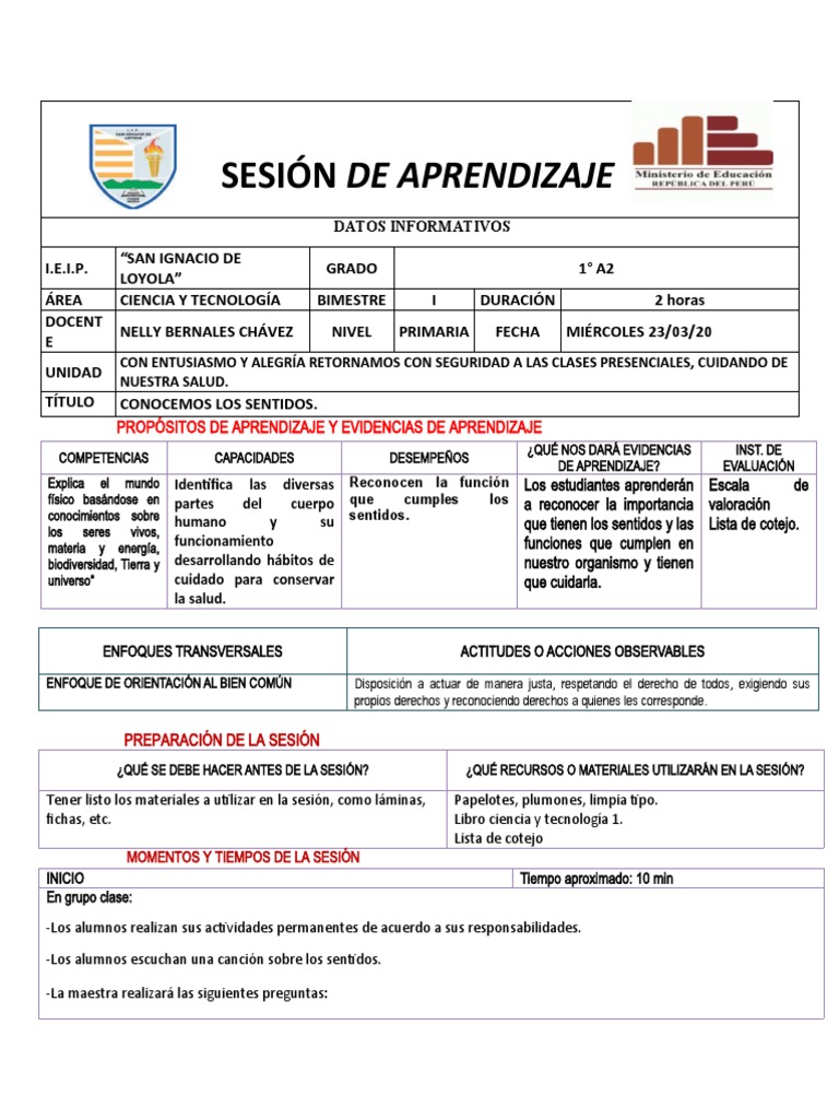 Conocemos los Cinco Sentidos | PDF | Aprendizaje | Evaluación