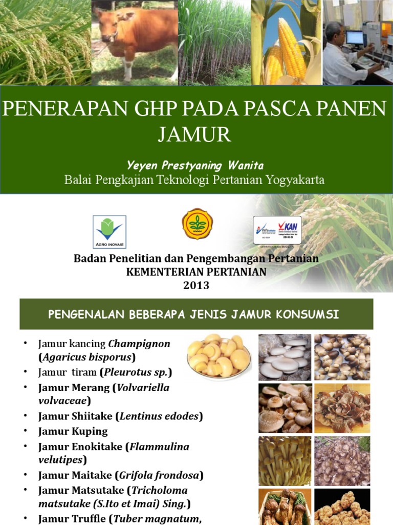 GHP Jamur | PDF | Kesehatan Holistik | Sains & Matematika