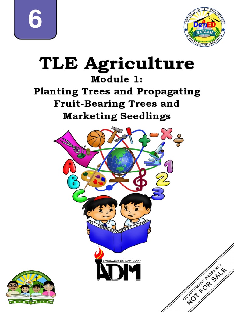 TLE6 Agriculture Module1 Planting Trees and Propagating Fruit Bearing ...