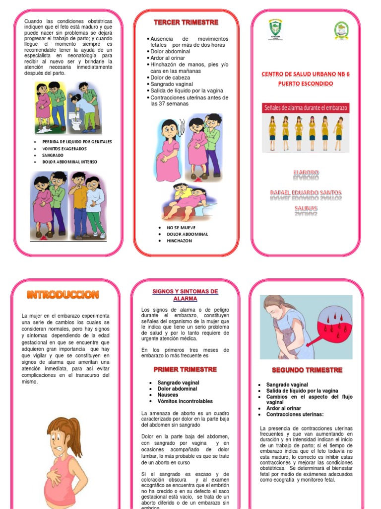 Signos de Alarma en La Mujer Embarazada | PDF | El embarazo | Parto