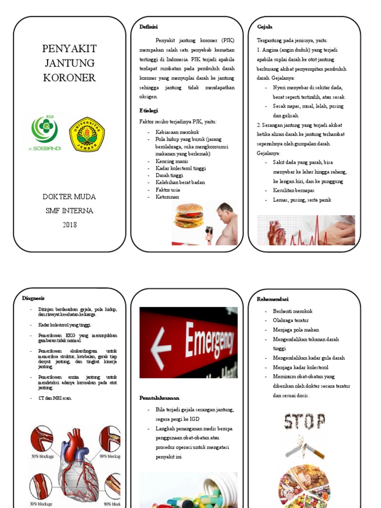 Leaflet PJK | PDF