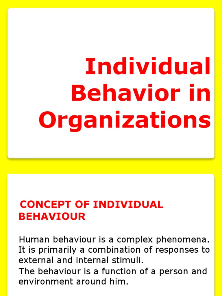 Individual Behavior in Organizations | PDF
