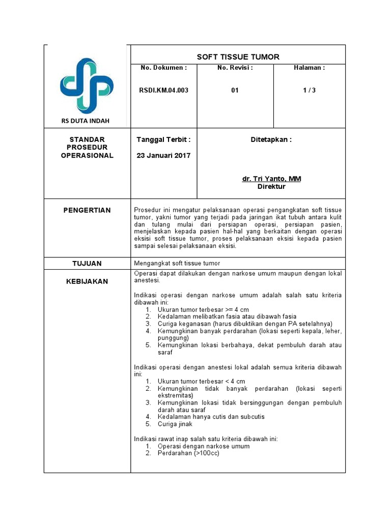 Spo STT Revisi | PDF