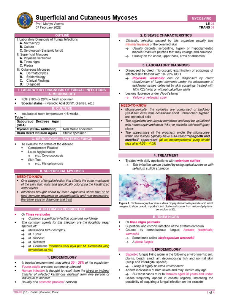 Superficial and Cutaneous Mycoses: 2. Disease Characteristics | PDF ...