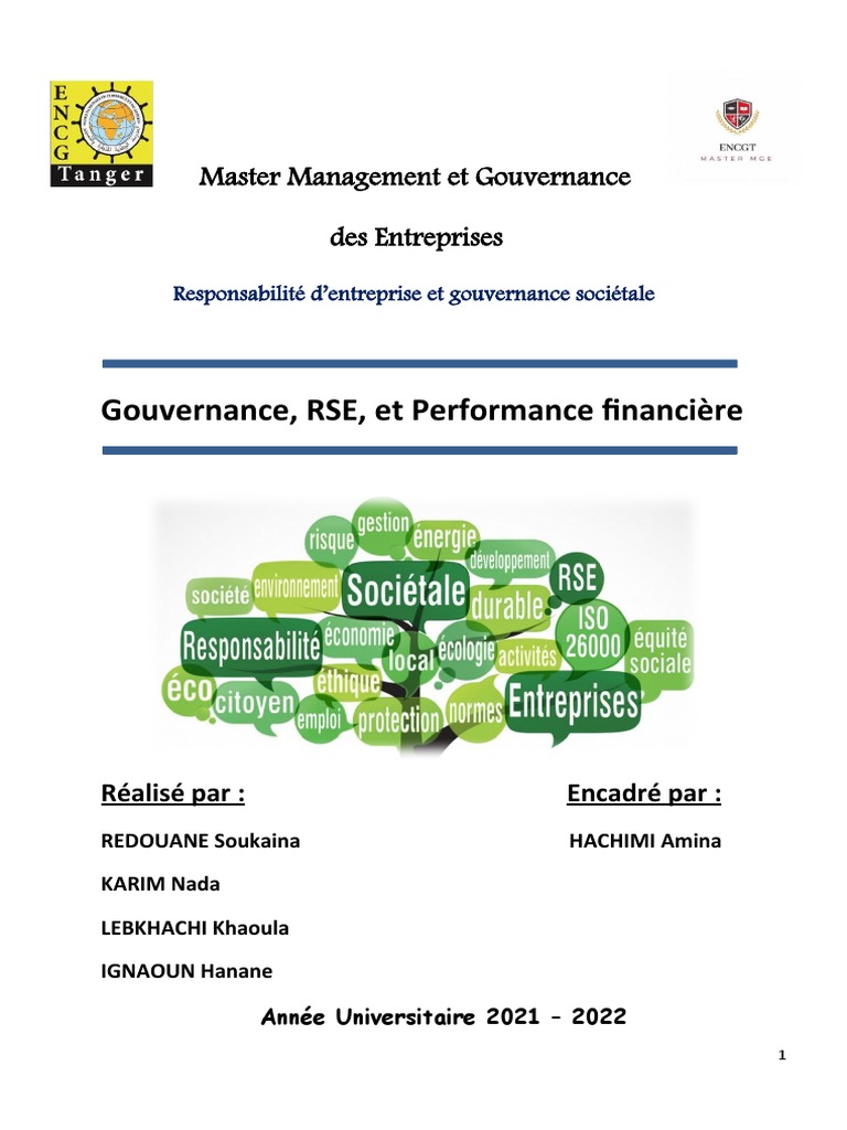 RSE ET PERFORMANCE FINANCIÈRE Outre Les Études Sur Les Déterminants de La RSE | PDF ...