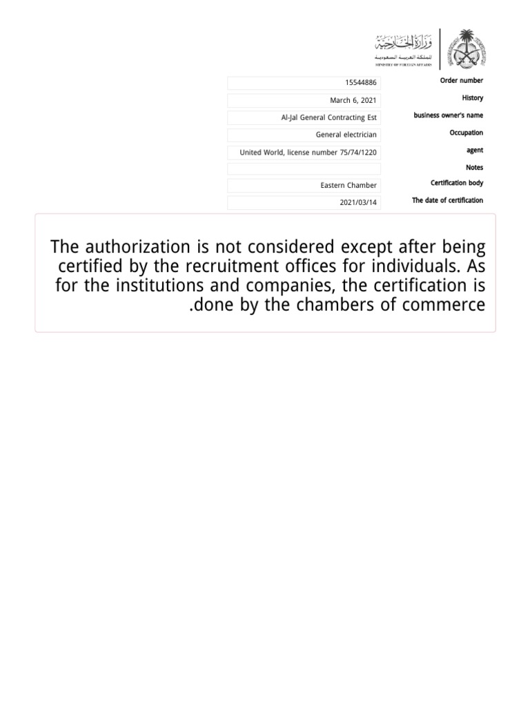 Electronic Visa Services Platform (Enjaz) | PDF