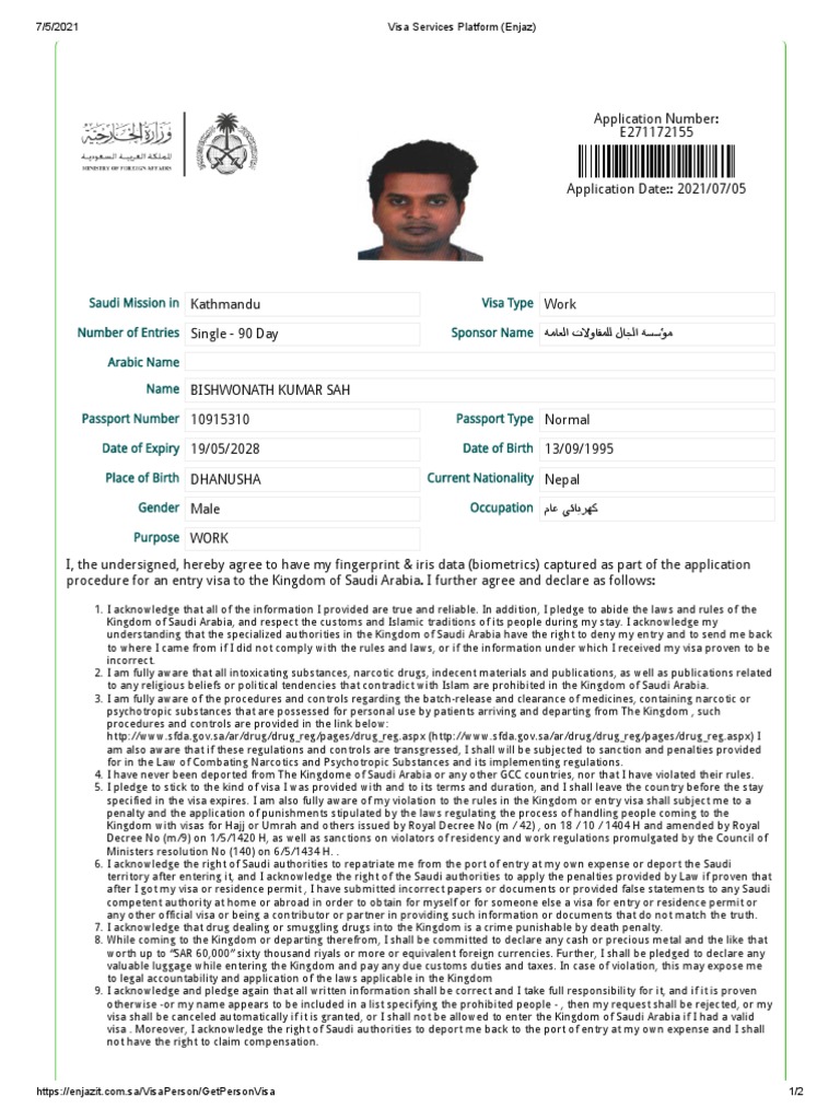 Visa Services Platform (Enjaz) | PDF | Travel Visa | Saudi Arabia