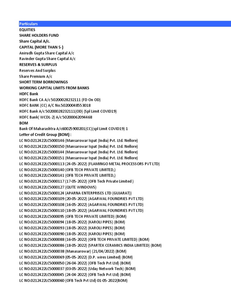 DEC Infrastructure Projects India PVT LtdTrial Balance577448 | PDF
