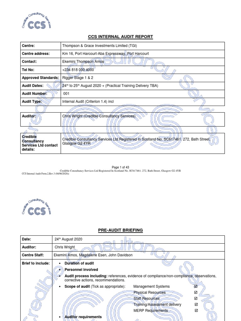 CCS Internal Audit Form | PDF | Audit | Internal Audit